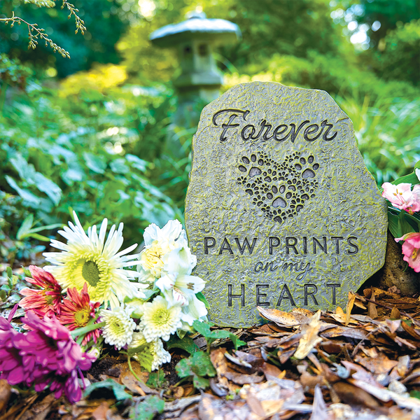 Memory Stone Assortment - Dog Speak Cards