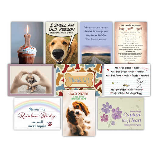 Greeting Cards – Dog Speaks Cards dev